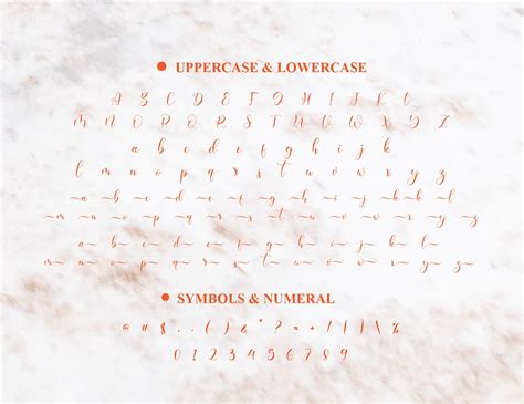 Long Tail Font Calligraphy Font Script Font Swirly Font Etsy