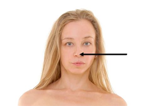 Anatomy Body Regions Flashcards Quizlet