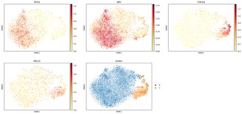 generalizing rna velocity to transient cell states through dynamical
