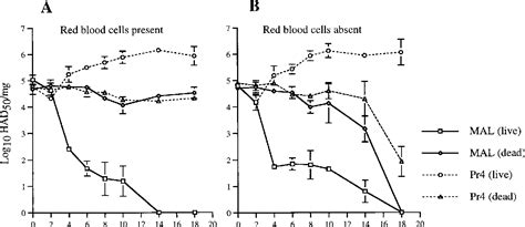 Streptococcus Porcinus Semantic Scholar