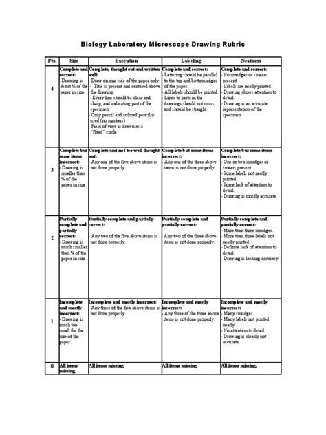 Biology Laboratory Microscope Drawing Rubric Pts Size Execution