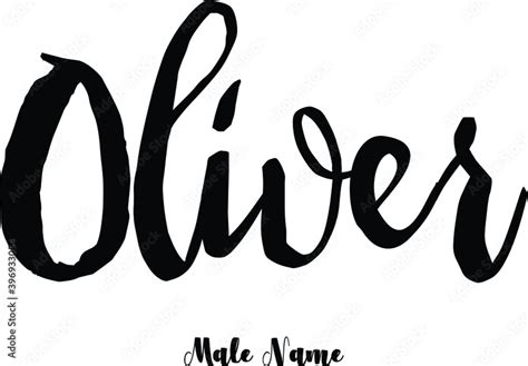 Oliver Male Name Cursive Calligraphy Text On White Background Stock