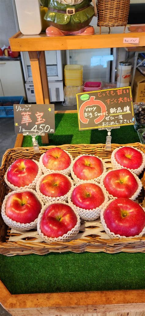 華宝りんご狩りが大好評です 北海道壮瞥の果物狩り ほりぐち果樹園
