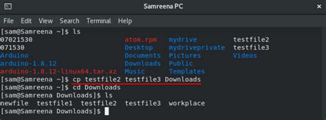 Linux Beginners Manage Files Using The Terminal On CentOS VITUX