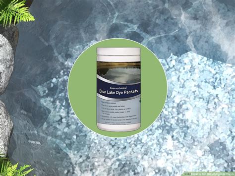How To Kill Algae In A Pond With Plants Katynel