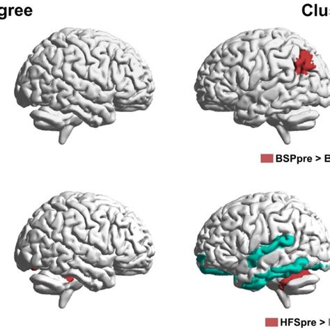 Comparison Of Regional Structural Network Changes Between BSP Patients