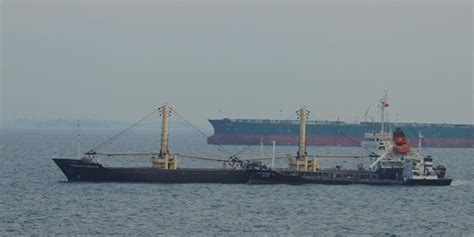 Mv Vimc Freedom