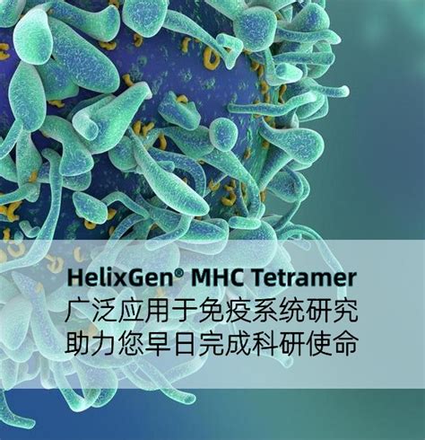 四聚体官网