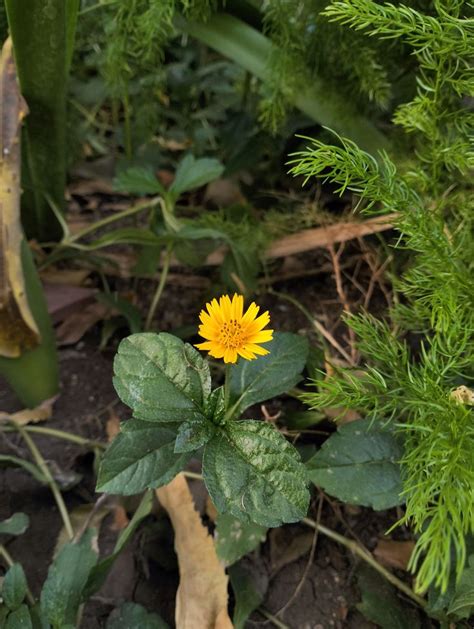 ปักพินโดย Nidhi🫶🏻 ใน Pins By You