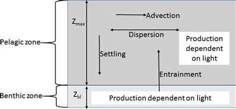 Schematic Of Major Processes Affecting Pelagic Suspended And Benthic Algae Download Scientific