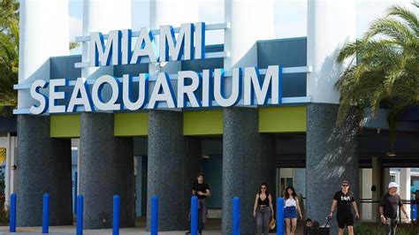 El Ambicioso Y Polémico Miami Sequarium Cierra Sus Puertas The Wing