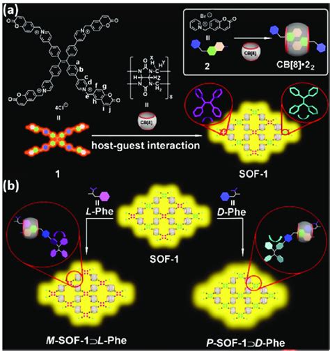 Adaptive Chirality Of An Achiral Host For Chirality Induction By A Download Scientific Diagram