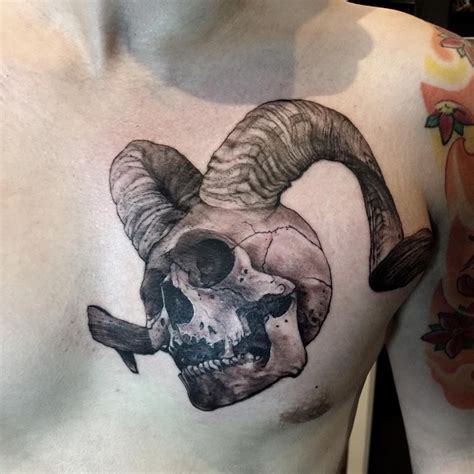 Human Skull With Ram Horns