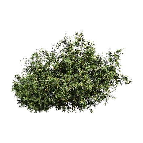 Natural Topiary Bush 3d Model Download Maxve