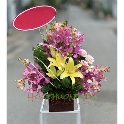 Lan Ly Tím Điện Hoa Thành Công