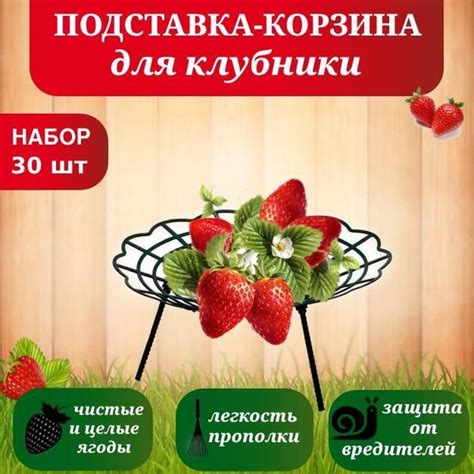 Подставка для клубники, опора садовая пластиковая- "Корзина", 30 штук ...
