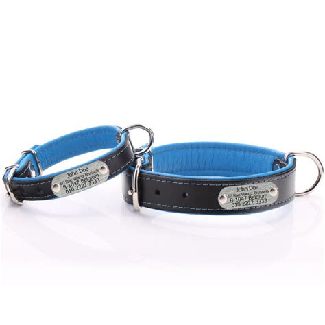 Collar Para Perro De Cuero Negro Y Azul Con Placa De Identificación