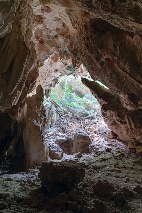 Entrada A Cueva Ventana Cueva De La Ventana En Puerto Rico Imagen De Archivo Imagen De