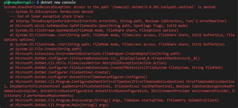 NET Core On Raspberry Pi Access To The Path Is Denied