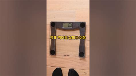 적게 먹어도 살찌는 이유설명👆 Youtube