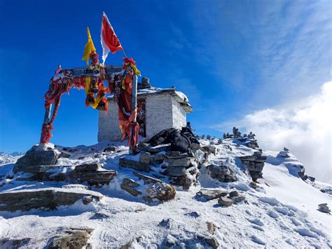 Complete Guide Chopta Chandrashila Trek Travel Tip