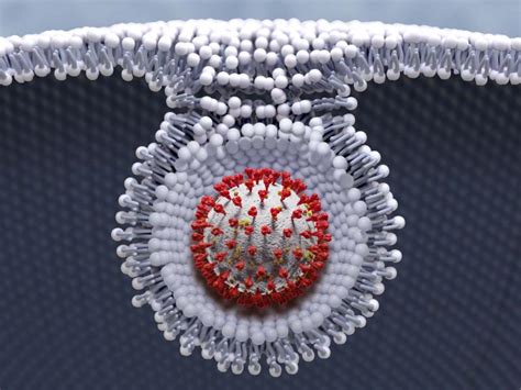 Pathogen Science And Detection Pnnl