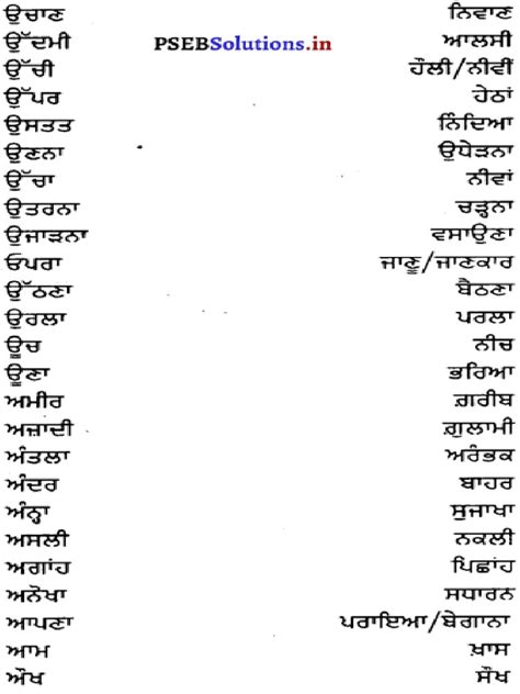 Punjabi Grammar Pdf
