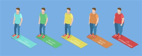 Premium Vector D Isometric Flat Vector Illustration Of Body Mass