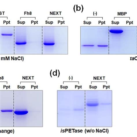 In Vivo Solubility Of Recombinant Proteins Fused With Different Download Scientific Diagram
