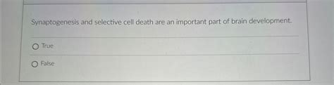 Solved Synaptogenesis And Selective Cell Death Are An
