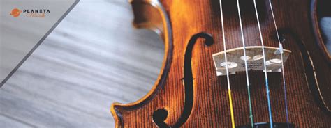 Cuántos 【tipos De Violines】 Existen Y Cuáles Son