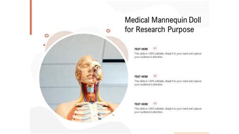 Mannequin Powerpoint Templates Slides And Graphics