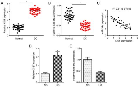 Xist Is Upregulated And Mir 34a Is Downregulated In Dc Tissues And
