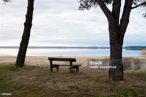 산기넷 호수 모래 야생 해변에서 비어 있는 나무 벤치 프랑스 땅에 진정 물 0명에 대한 스톡 사진 및 기타 이미지 0명