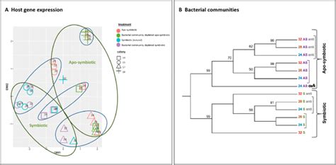 Host Gene Expression And Bacterial Communities Clustering By Symbiotic