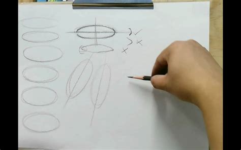 绘画基础教程 怎样画椭圆和圆哔哩哔哩bilibili
