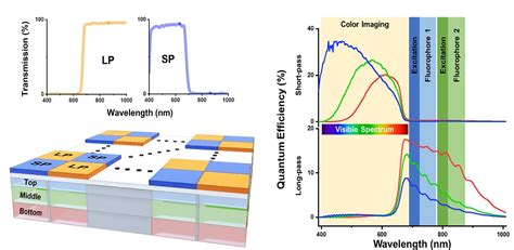 Innovative Endoscopic Imaging System Can Detect Multiple Fluorescent