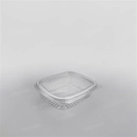 Clear Hinged Rectangular Container Versatile And Durable