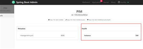 Endpoint Actuatorhealth Url Is Ok But Instance Details Health