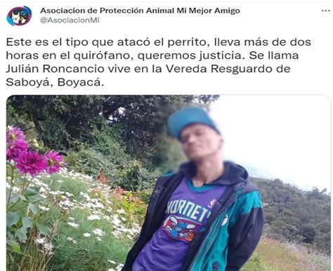 Un Año Del Rescate Y Recuperación De Ángel El Perrito Al Que Habían