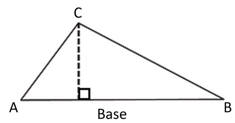 Identify Base And Height Of Triangles Th Grade Quiz Quizizz