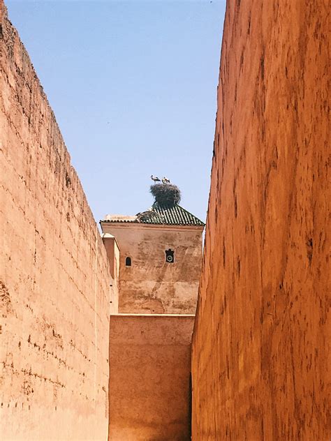 Les Visites Incontournables De Marrakech Artofit