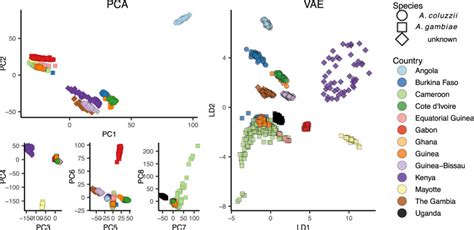 Visualizing Population Structure With Variational Autoencoders Pmc