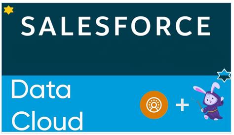 Salesforce Data Cloud Accredited Professional In 2023 Salesforce