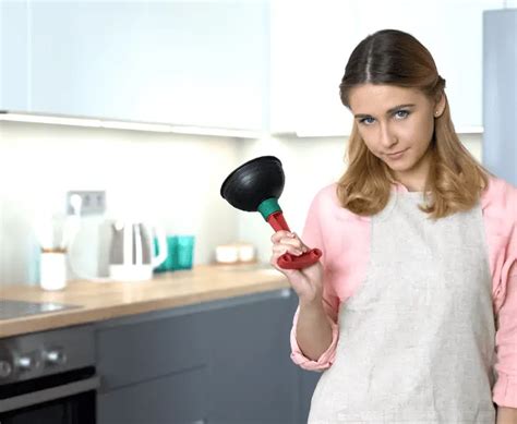 How To Get Rid Of Gnats In Garbage Disposal Quick Ways