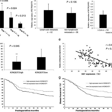 Kcnq1ot1 Inhibits A549 Cell Proliferation A Relative Transfection