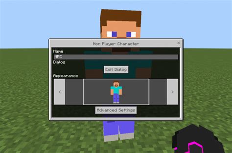 Bedrock Interactive NPC S V2 Aadhu
