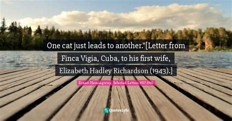 One Cat Just Leads To Another Letter From Finca Vigia Cuba To His