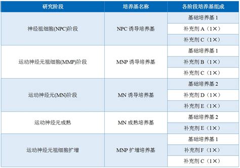 hPSC诱导分化运动神经元试剂盒 细胞资源库平台
