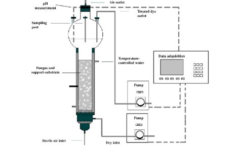 Schematic Diagram Of The Expanded Bed Bioreactor Employed Operating In